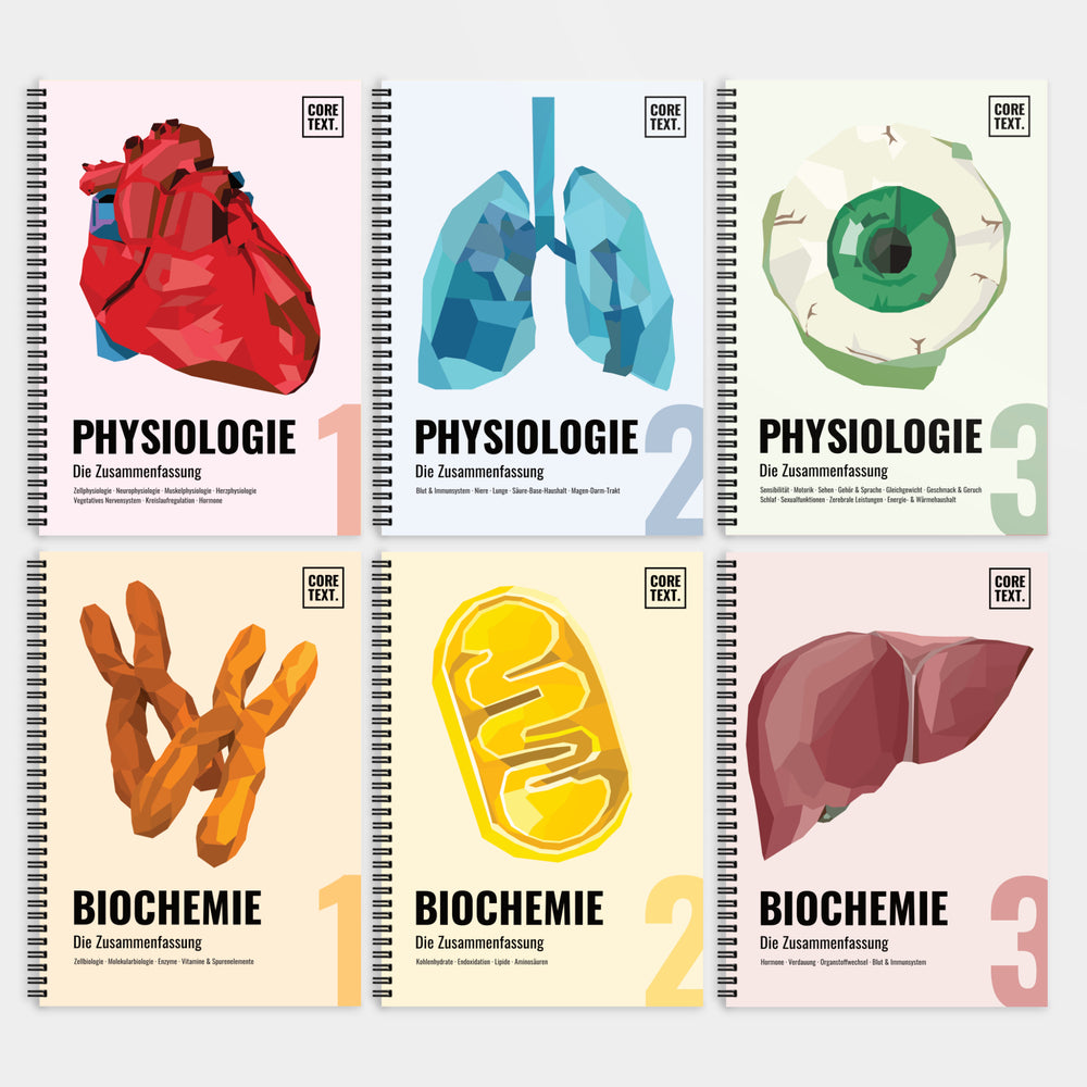 CORETEXT: Neuroanatomie - Die Zusammenfassung