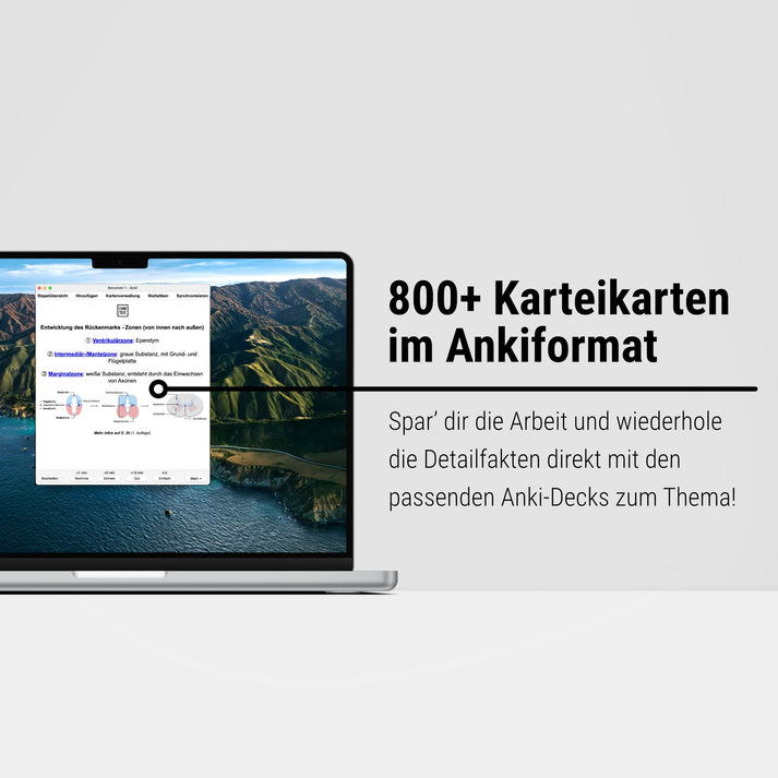 CORETEXT: Neuroanatomie - Die Zusammenfassung – CORETEXT GmbH