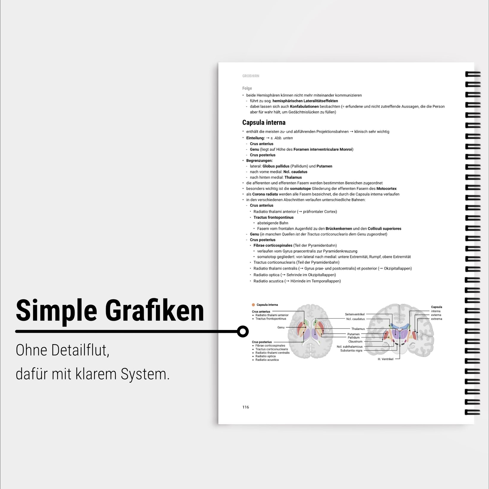 CORETEXT: Neuroanatomie - Die Zusammenfassung – CORETEXT GmbH