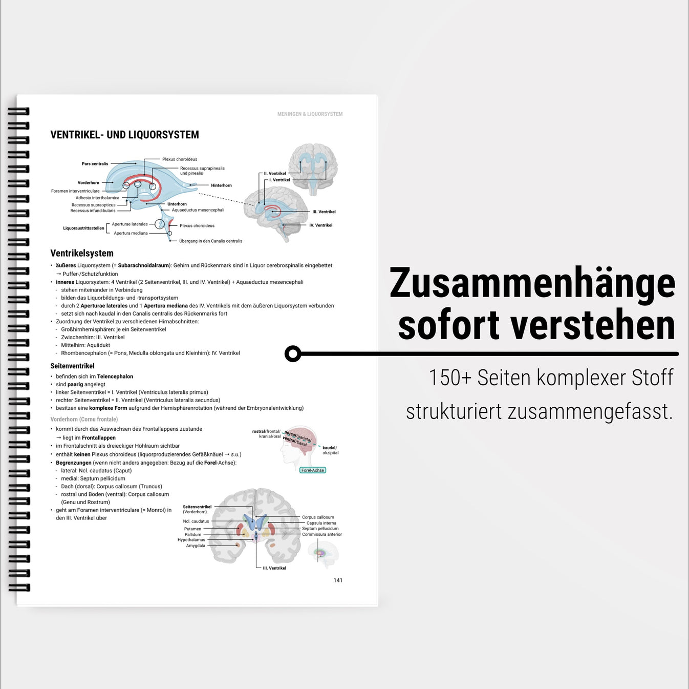 CORETEXT: Neuroanatomie - Die Zusammenfassung – CORETEXT GmbH