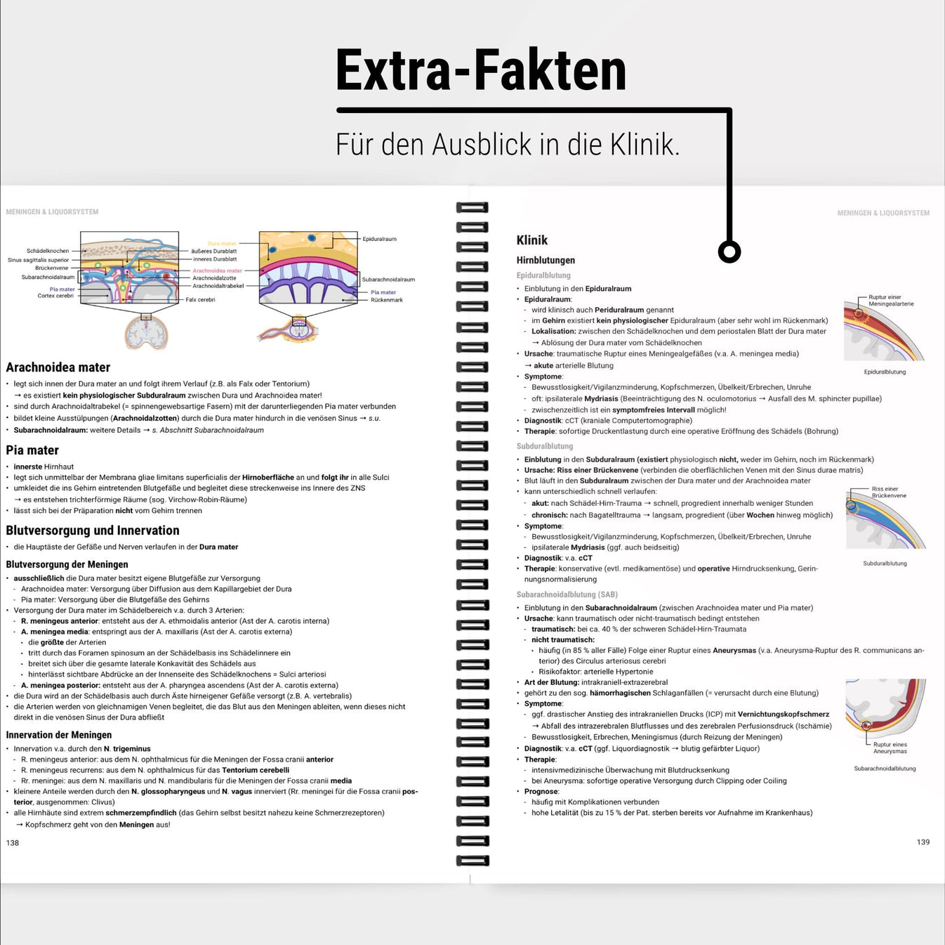 CORETEXT: Neuroanatomie - Die Zusammenfassung