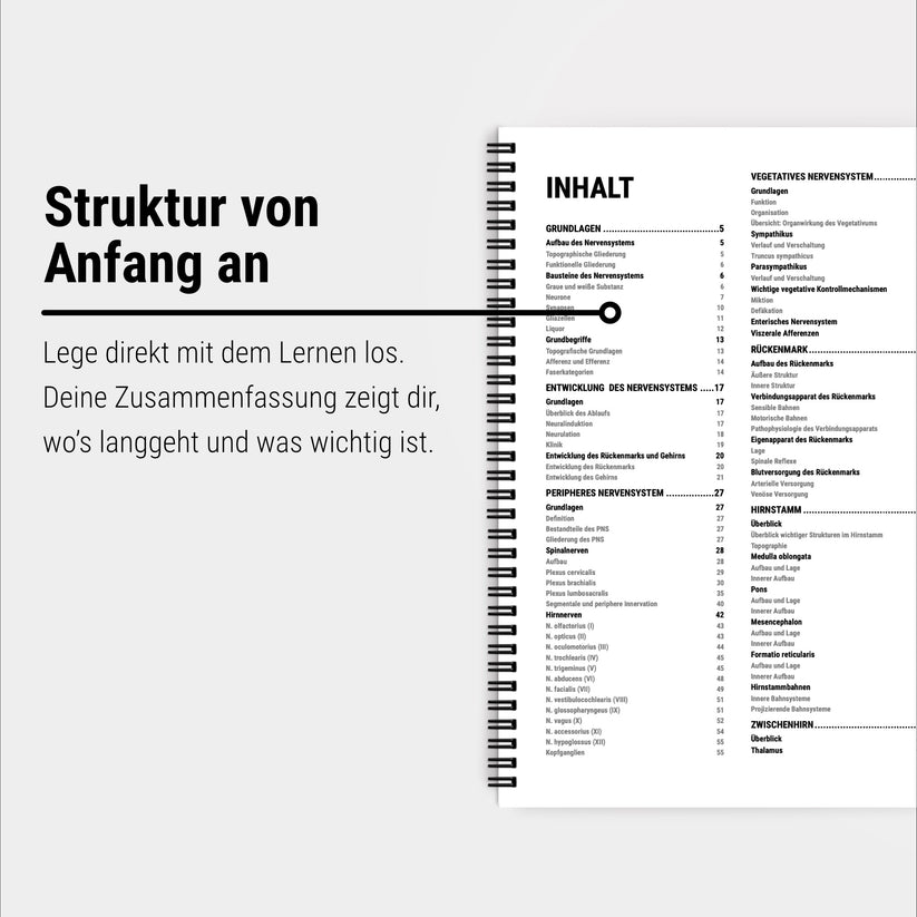 CORETEXT: Neuroanatomie - Die Zusammenfassung – CORETEXT GmbH
