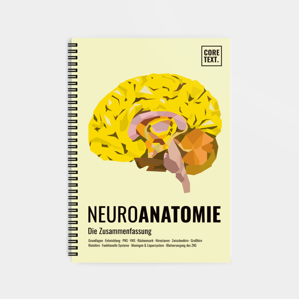CORETEXT: Neuroanatomie - Die Zusammenfassung