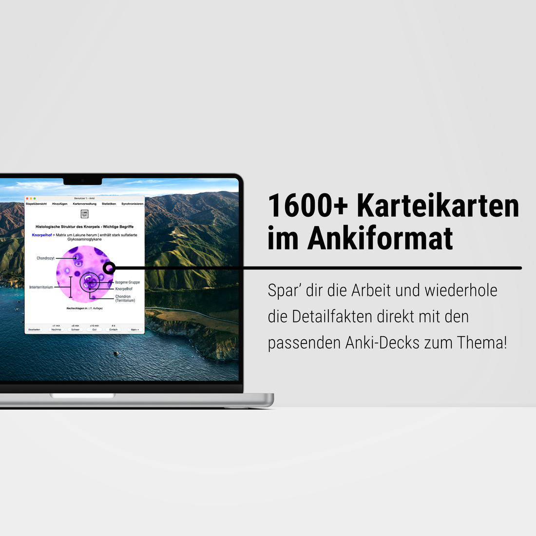 CORETEXT Skripte - Die Zusammenfassungen