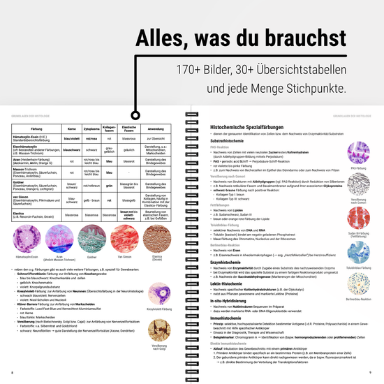CORETEXT Skripte - Die Zusammenfassungen
